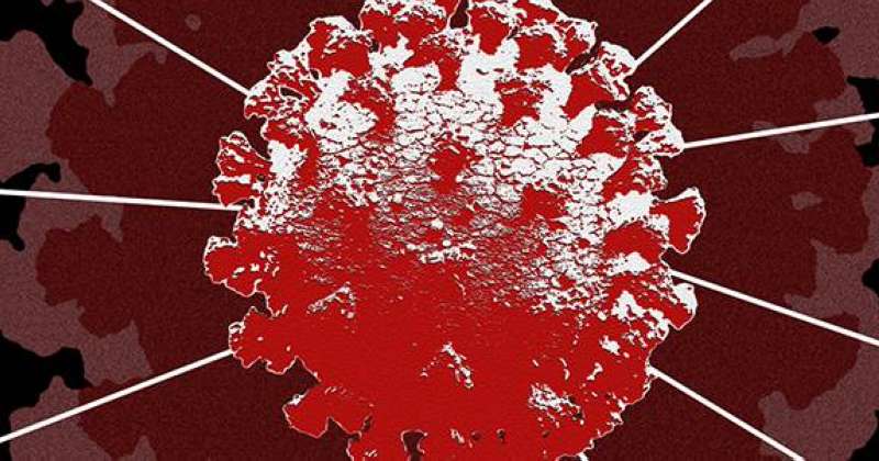 بعد رصده في الكويت.. ما هو متحور XBB؟ - الراي